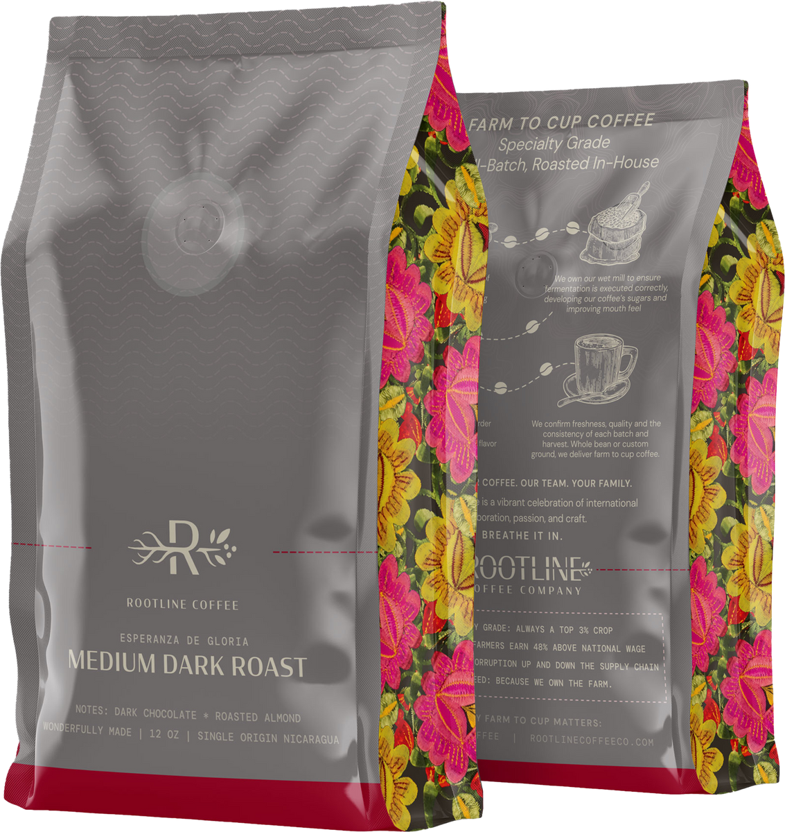 Rootline Coffee 5 Pound Medium Dark Roast Coffee